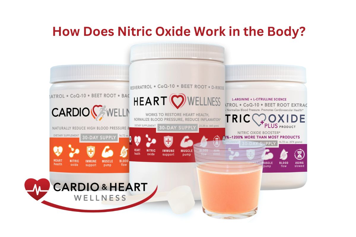 Understanding the Mechanisms: How Does Nitric Oxide Work in the Body ...